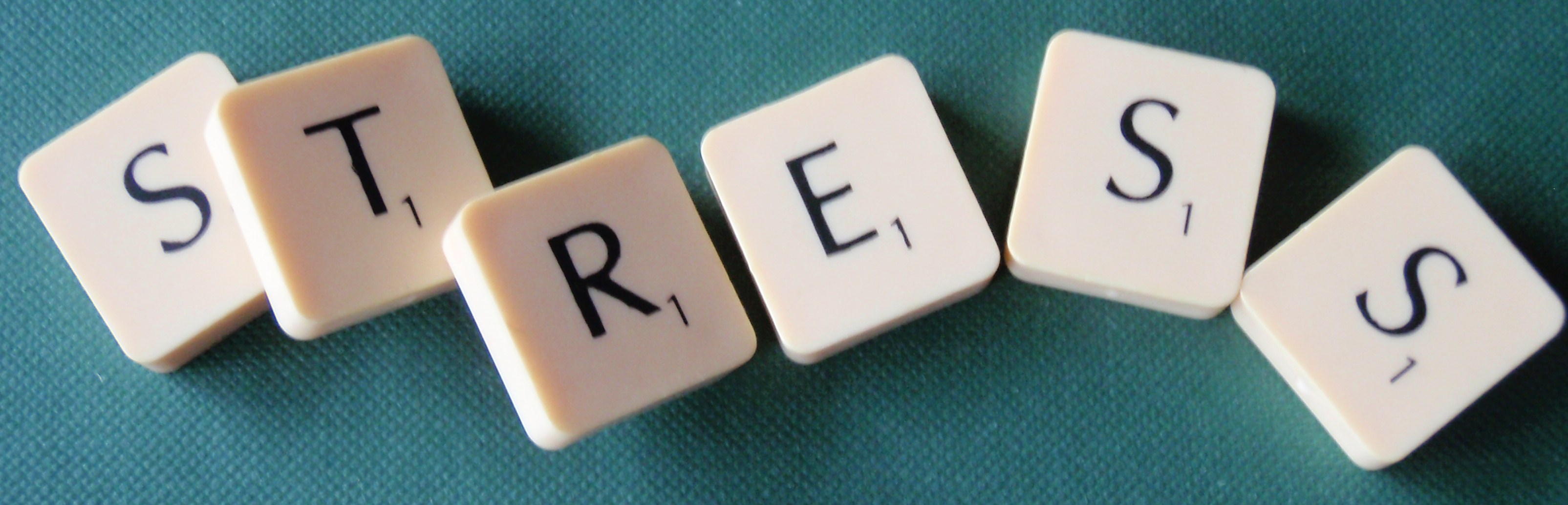 Stress Management | Balance4Life Programs